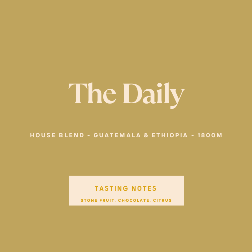 The Daily – Building Three Coffee