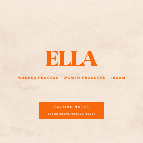 Buy 2 or more, ship free – Building Three Coffee